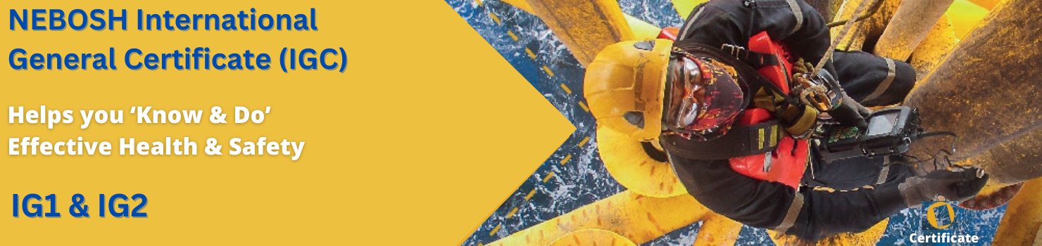 3S Distance Learning Platform